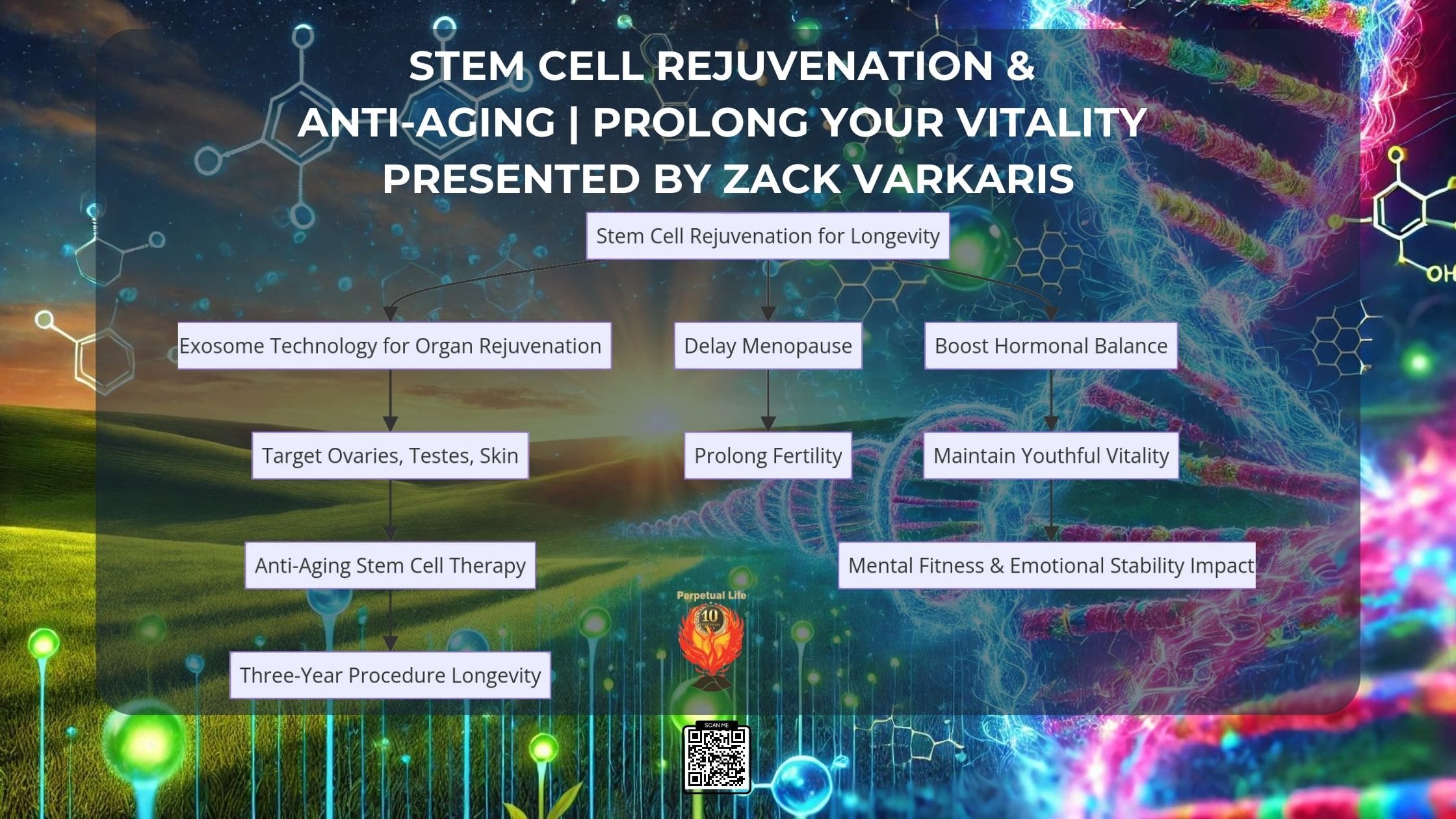 Stem Cell Rejuvenation & Anti-Aging | Prolong Your Vitality